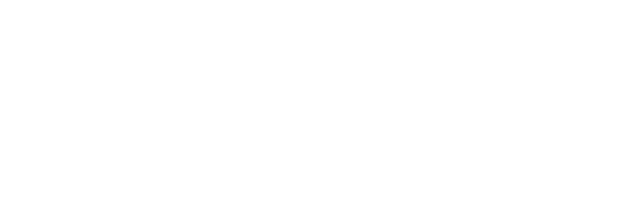 Dinsa - New Technologies, New Services, New Ways